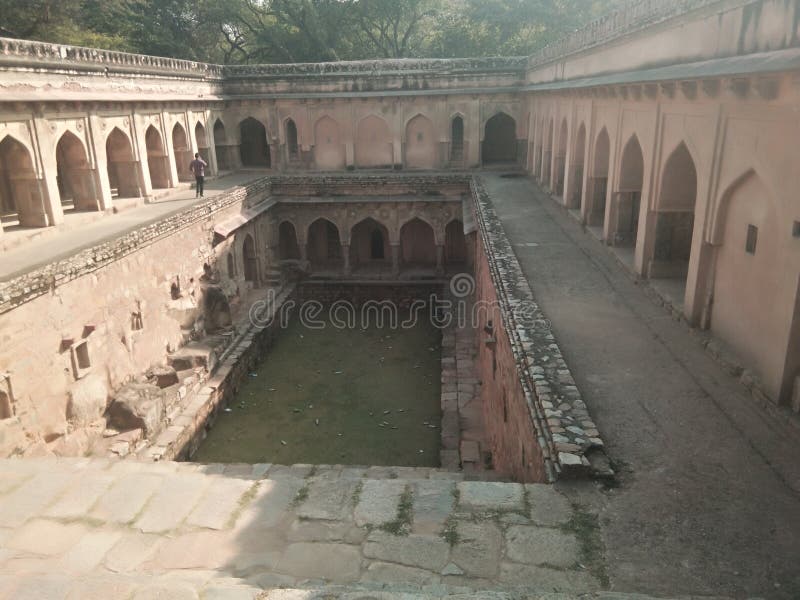 Stepwell editorial stock image. Image of mughal, jungle - 135455264