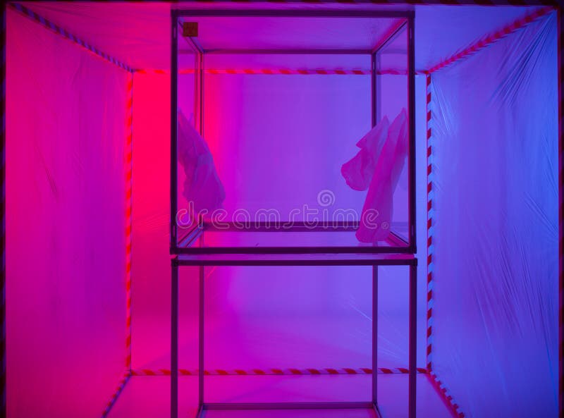 Sterile Chamber Inside a Lab Stock Image - Image of profession, learn ...