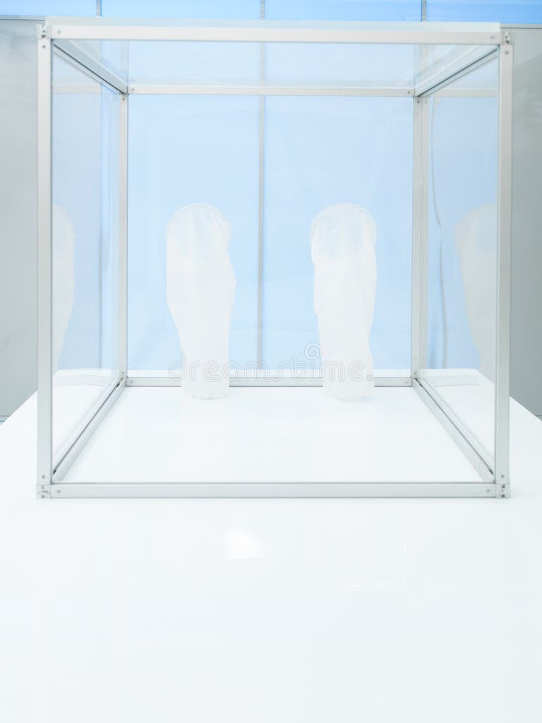 1,728 Science Chamber Stock Photos - Free & Royalty-Free Stock Photos ...