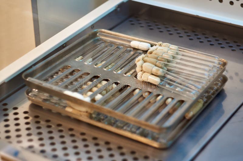 Sterilization of Test Tubes in a Dry-burning Cabinet Stock Image ...