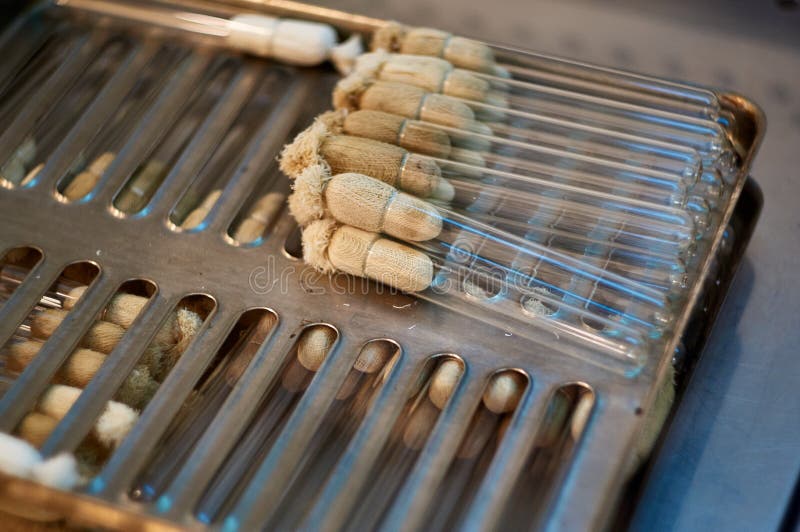 Sterilization of Test Tubes in a Dry-burning Cabinet Stock Photo ...