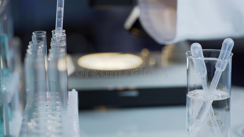 Sterilized Lab Flasks Ready for Scientific Experiment, Close-up of ...