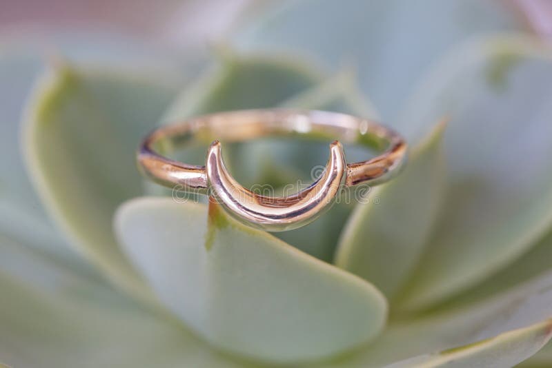 Sterling Silver Elegant Ring in Decorative Shape Stock Image - Image of ...