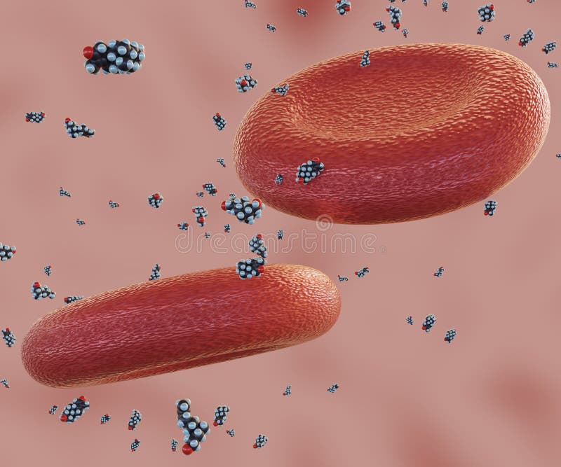 Steroid Molecules in the Blood Vessel Stock Illustration - Illustration ...