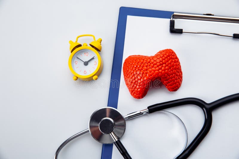 101 Tonsil Anatomy Stock Photos - Free & Royalty-Free Stock Photos from ...