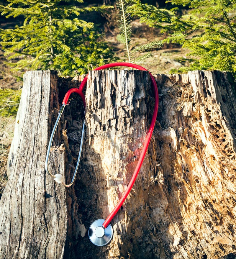 Stethoscope on a Tree Stump Stock Photo - Image of natural, green: 62689788
