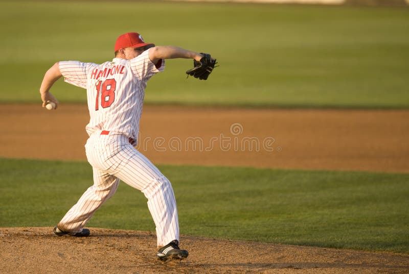Steve Hammond editorial photography. Image of ducks, bluefish - 21724972