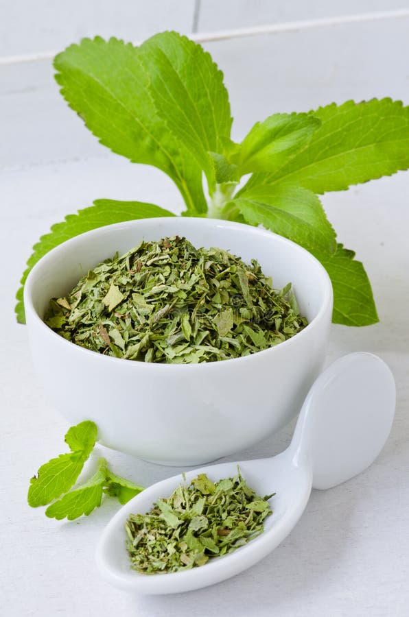 Stevia Fresh and Dried Leaves. Stock Photo - Image of vertical, shot ...