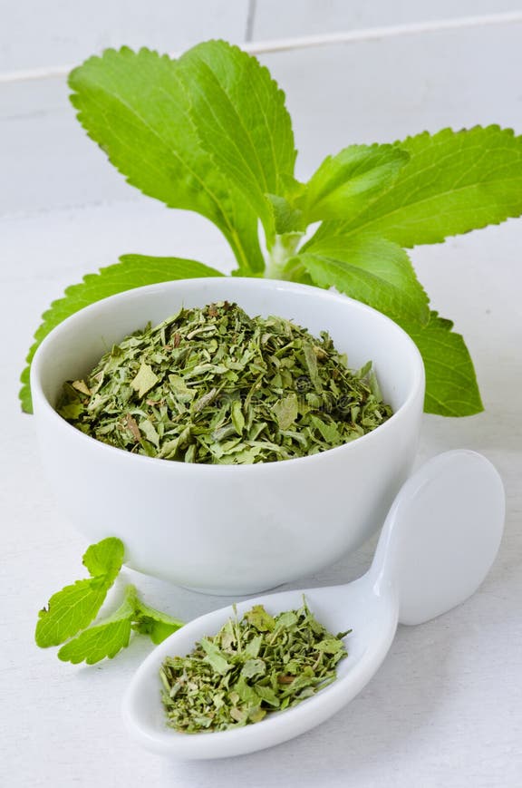 Stevia Fresh and Dried Leaves. Stock Photo - Image of vertical, shot ...