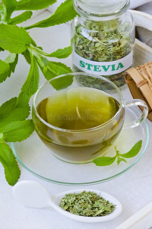 Herbal Stevia Tea stock image. Image of freshness, closeup - 181583307