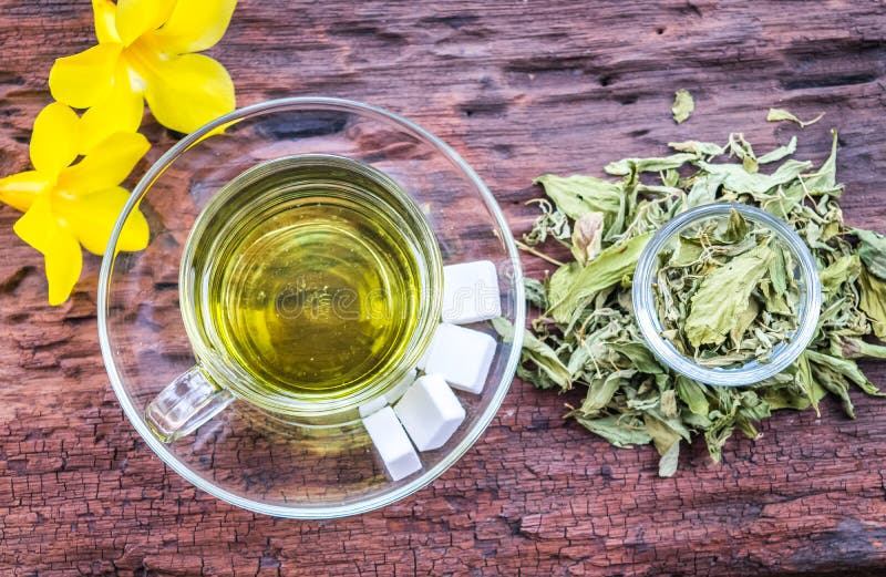 Herbal Stevia Tea stock image. Image of freshness, closeup - 181583307