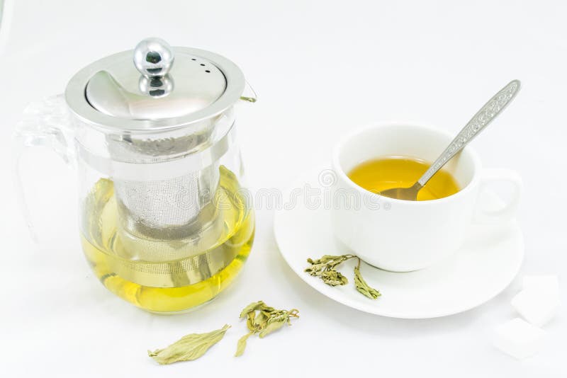 Herbal Stevia Tea stock image. Image of freshness, closeup - 181583307