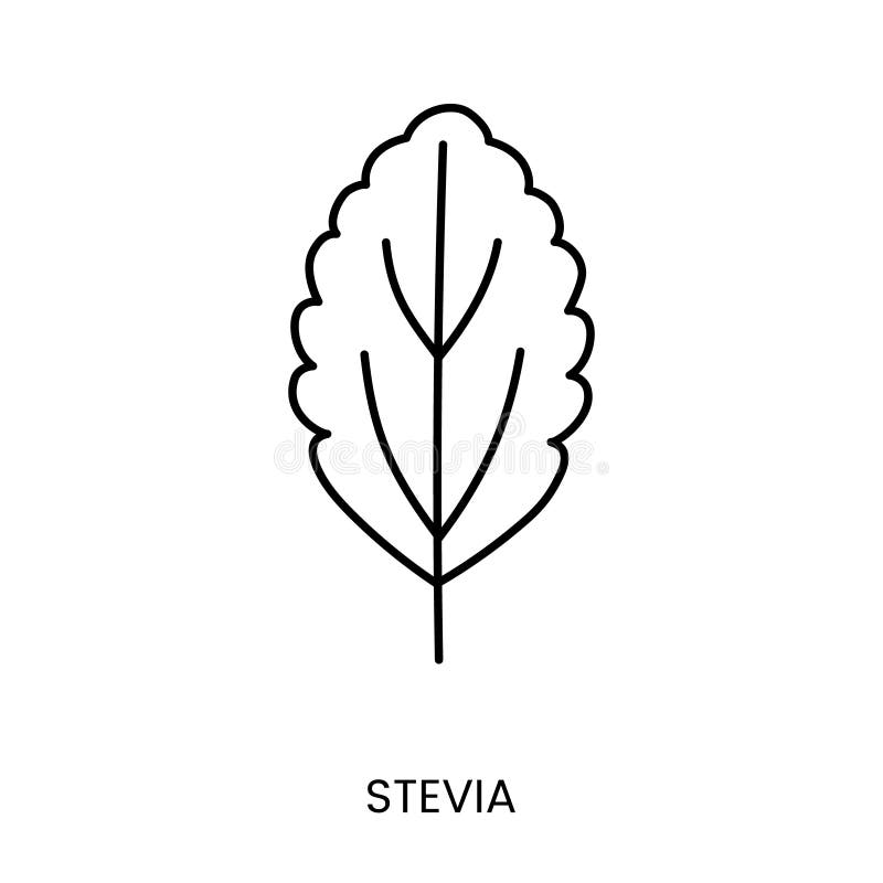 Stevia Linear Icon in Vector, Illustration of the Plant from Which ...