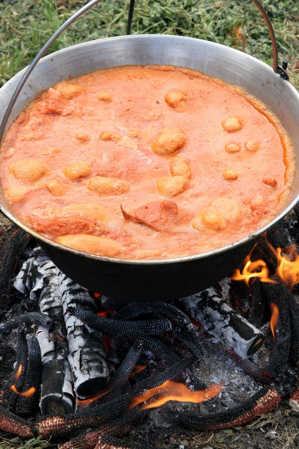Stew stock photo. Image of fireplace, craft, cookery, pepper - 1247656