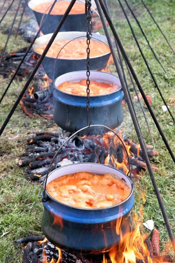 Stew stock image. Image of wood, vintage, heat, tomato - 1247689