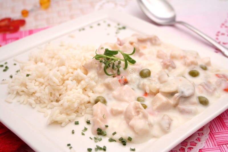 Stew of chicken with rice stock photo. Image of stew - 37198408