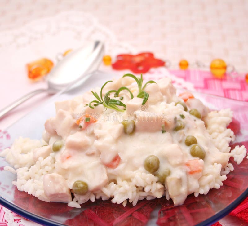 Stew of chicken with rice stock photo. Image of meal - 37196752