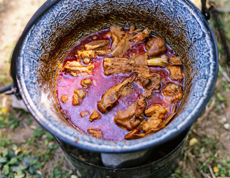 Stew pot goulash in it stock photo. Image of dipper - 290747624