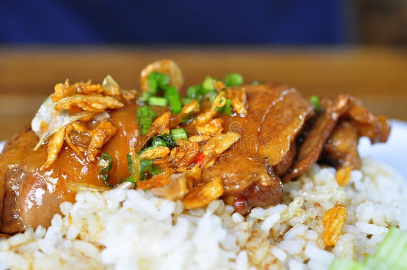 Stewed chicken and rice stock image. Image of spicy, stewed - 32452475