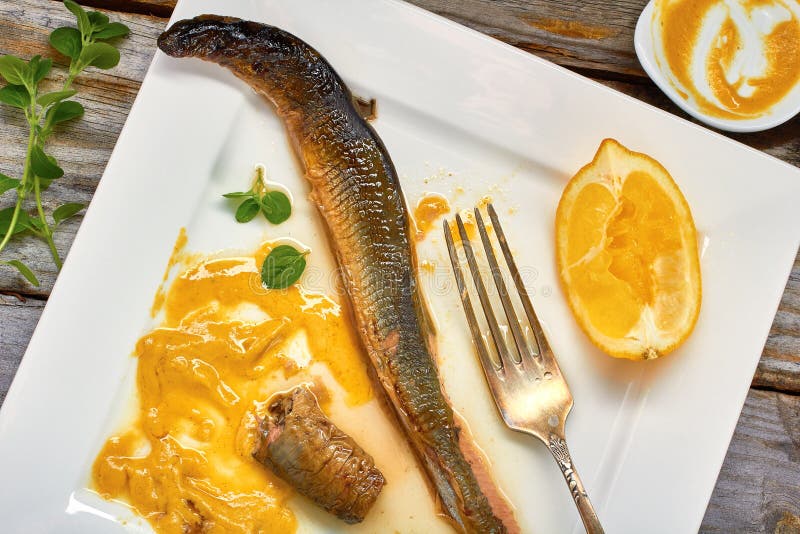 Stewed lamprey on plate stock image. Image of lamprey - 69305817