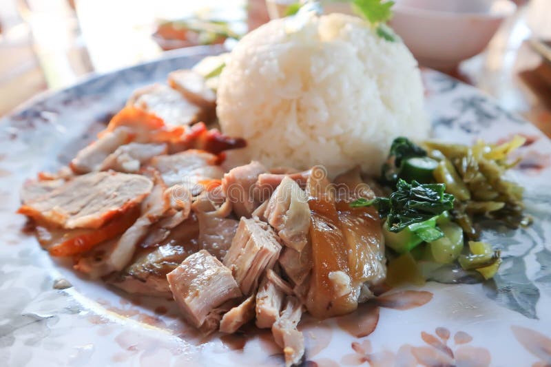 Stewed Pork ,pork with Rice or Rice with Stew Pork and Fried Pork Stock ...