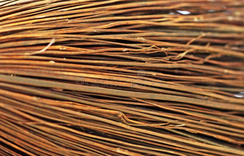Stick Abstract stock photo. Image of strand, abstract - 21386438