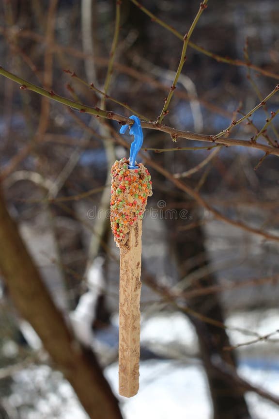 Stick with Bird Food, on a Tree Branch Stock Photo - Image of wildlife ...