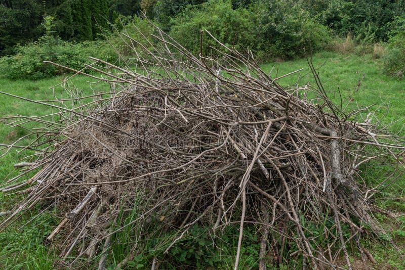 Stick Branches Wood Trees Stack Heap Nest Stock Image - Image of brown ...