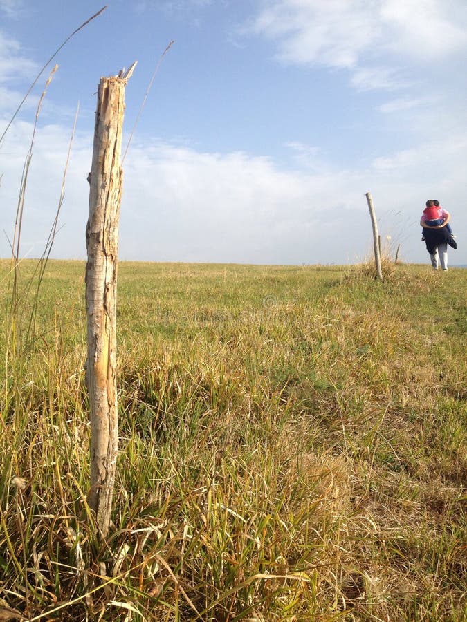 Stick in earth stock image. Image of grassland, prairie - 59643003