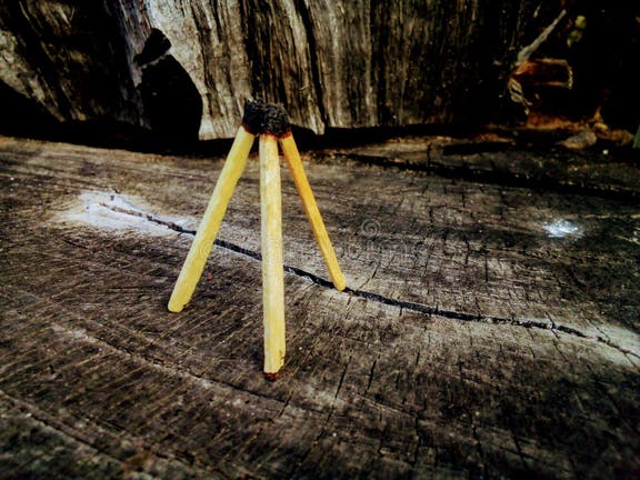 Stick stock image. Image of creative, unity, sticks - 138052427