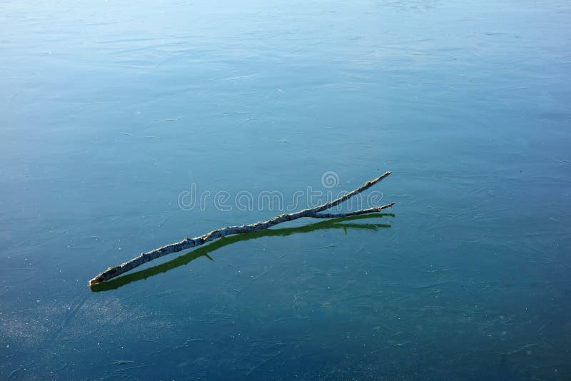 Stick on ice stock image. Image of winter, basin, lake - 89590423