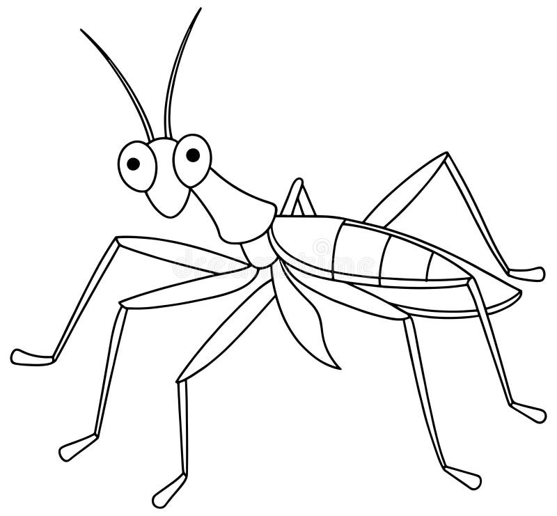 Stick Insect Coloring Activity for Children Stock Vector - Illustration ...