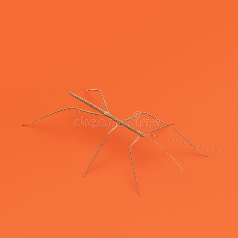 Stick Insect Doll, Stuffed Insect Made of Cloth, Single Varmint from ...