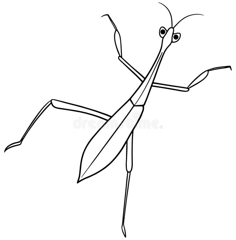 Camouflaged Bugs Stock Illustrations – 16 Camouflaged Bugs Stock ...