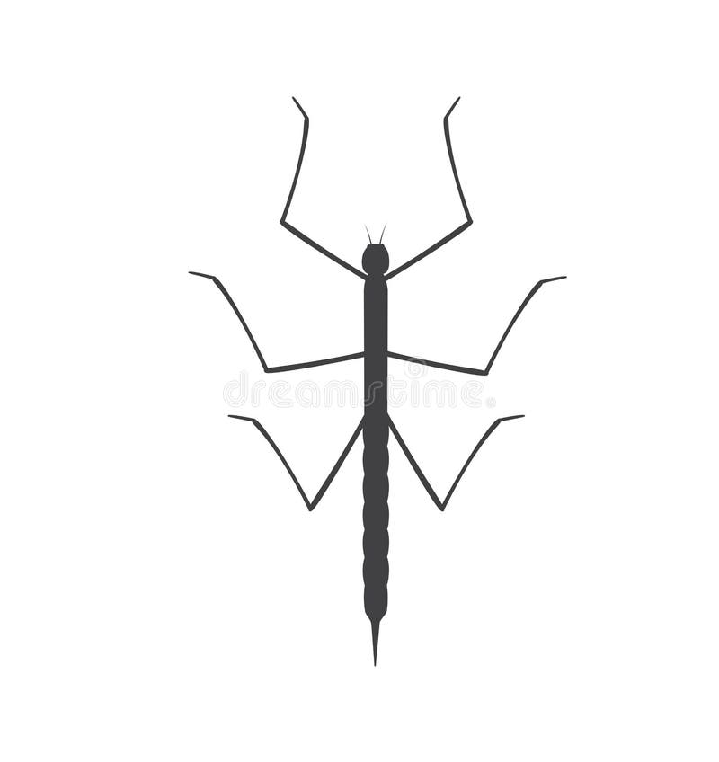 Drawing Art of Stick Insect Stock Vector - Illustration of drawing ...