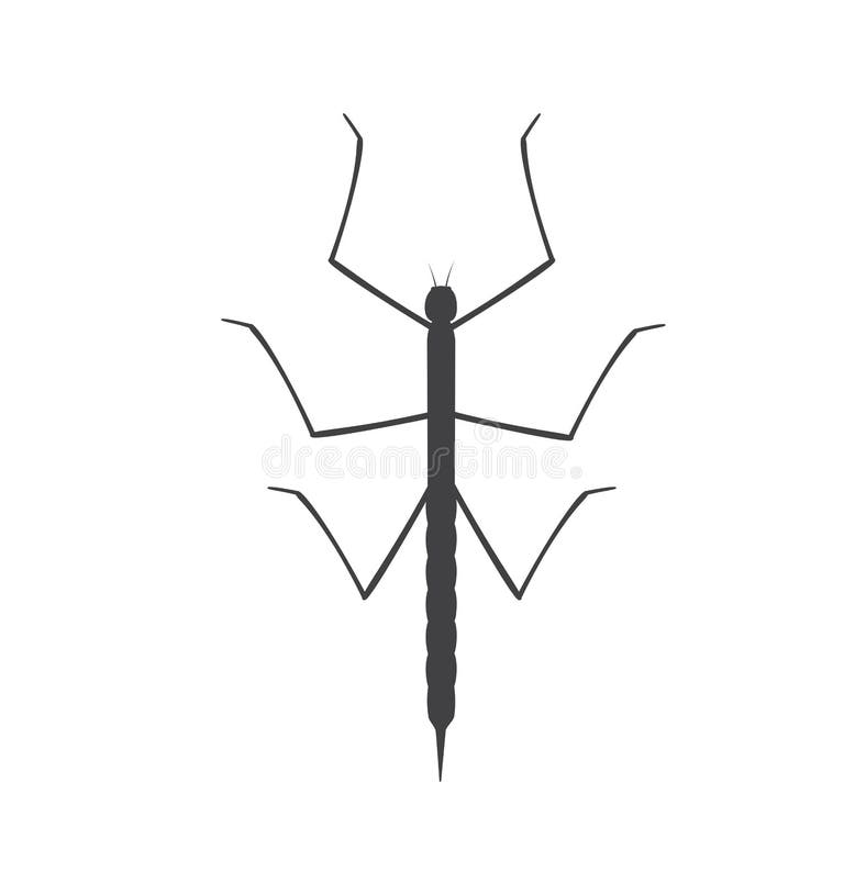 Stick Insect Silhouette Vector Stock Illustrations – 388 Stick Insect ...