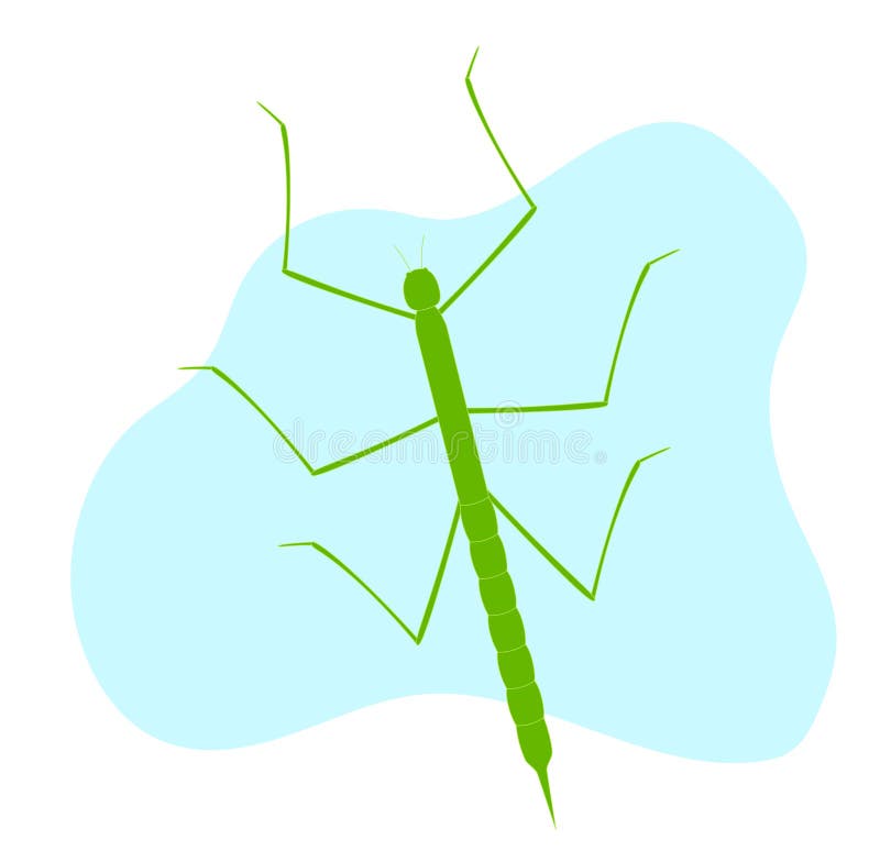 Stick insect stock vector. Illustration of walking, clip - 9807150