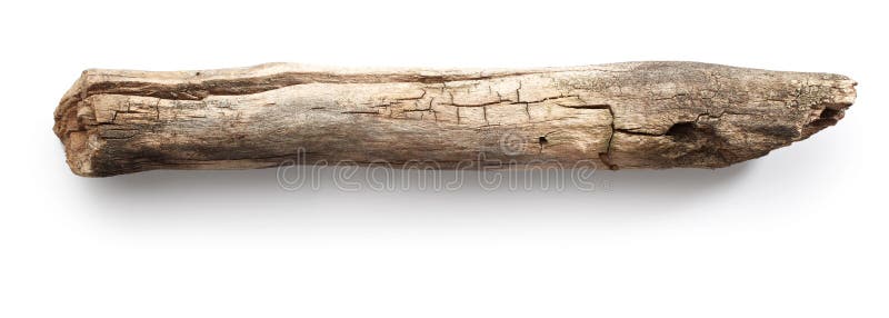 Stick stock image. Image of nature, piece, close, organic - 57208237