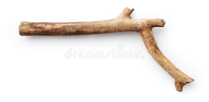 690 Rotten Stick Stock Photos - Free & Royalty-Free Stock Photos from ...