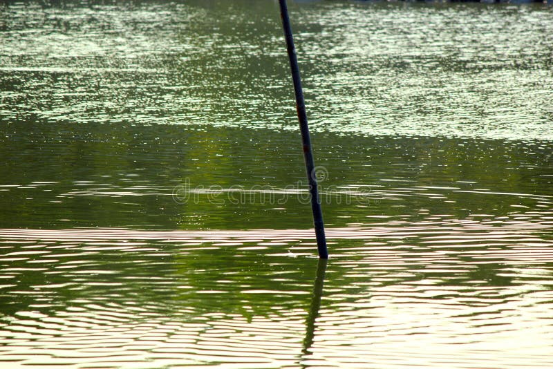 A stick in the lake stock image. Image of ocean, ripple - 195926551