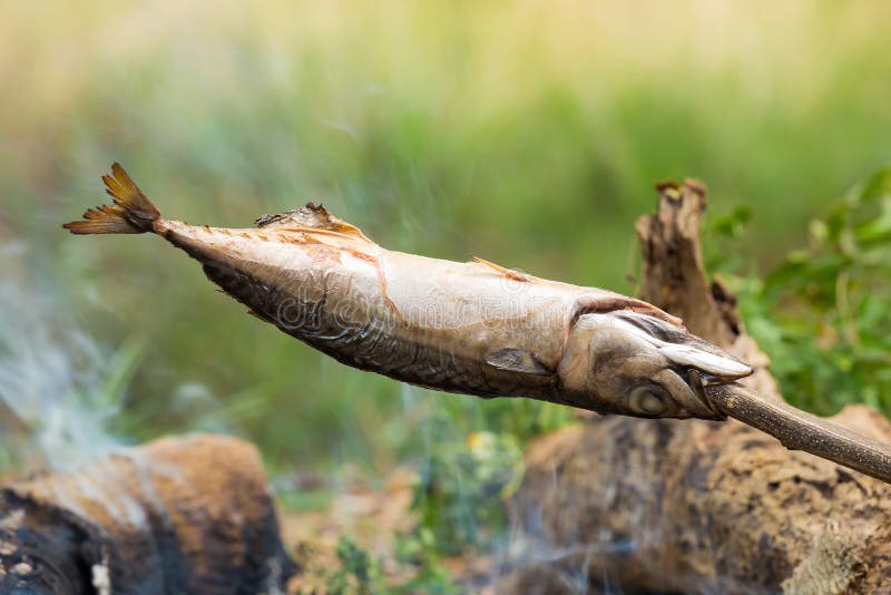 Stick Skewer Grilled Fresh Fish Stock Photo - Image of cook, skewer ...