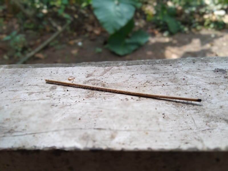 Stick stock image. Image of small, piece, stick, wood - 128851433