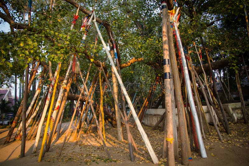 Stick Support the Old Tree for Long Life Stock Photo - Image of embrace ...