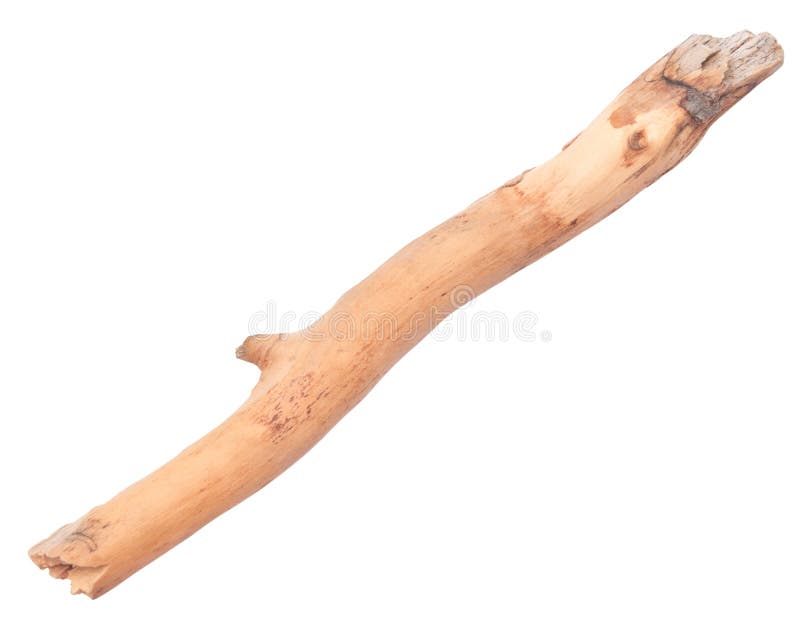 Stick on white stock photo. Image of trunk, wooden, background - 76694276