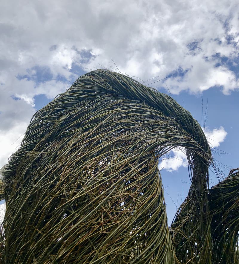 Stick Work Sculpture by Patrick Dougherty Stock Photo - Image of stick ...