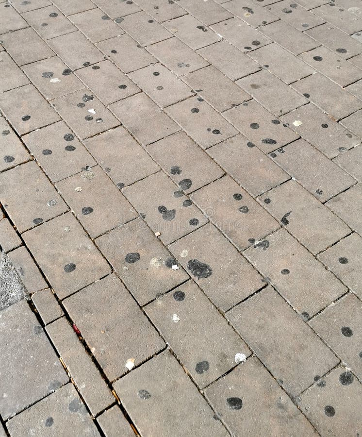 Chewing Gum Pavement Stock Photos - Free & Royalty-Free Stock Photos ...