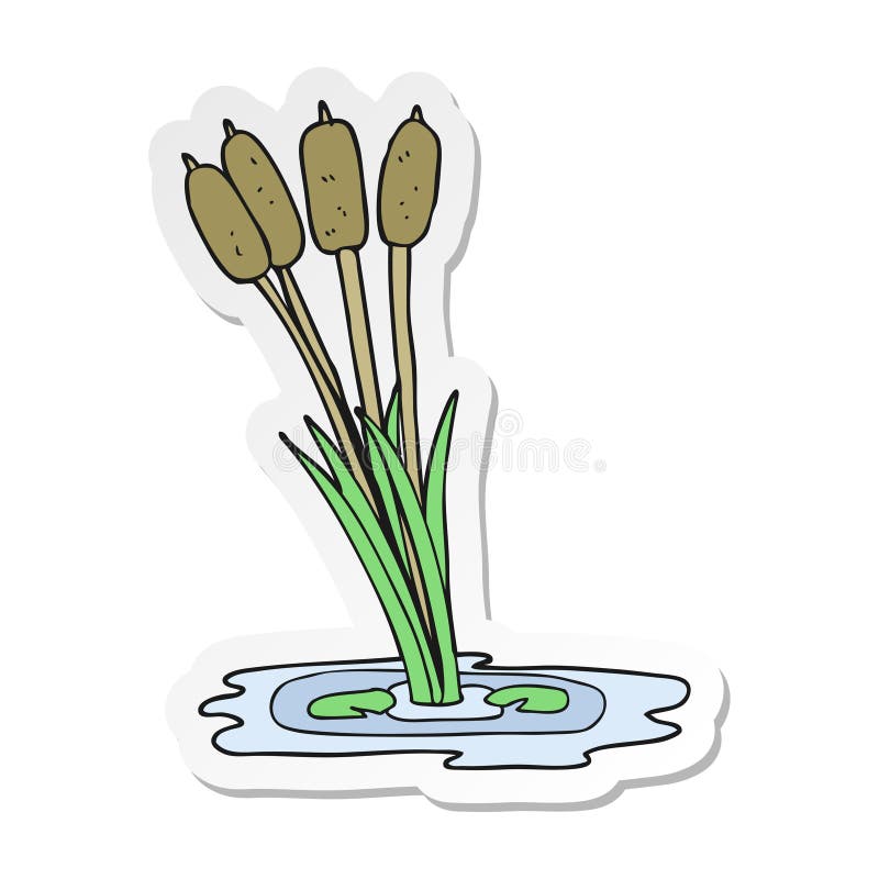 Reeds Stock Illustrations – 1,665 Reeds Stock Illustrations, Vectors ...