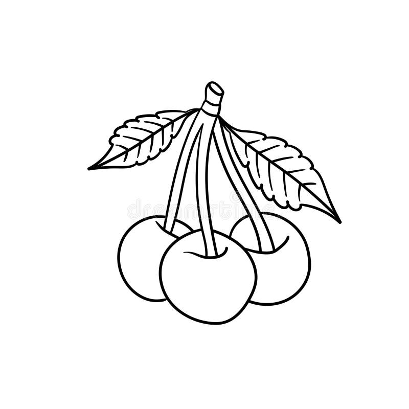 Sticker Illustration of Cherry Fruit Outline Version Stock Vector ...