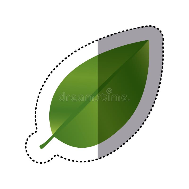 Sticker Realistic Green Leaf with Branch Nature Icon Stock Illustration ...