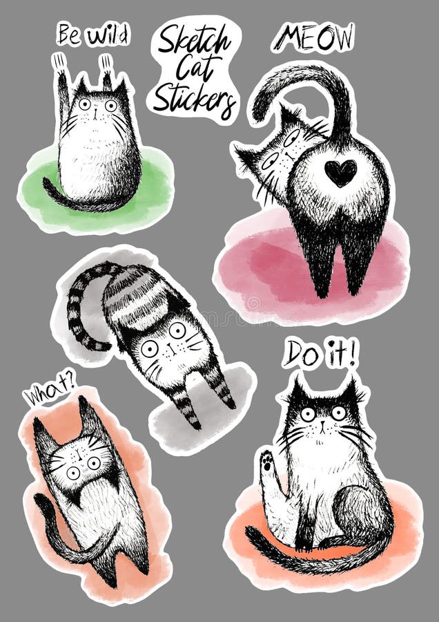 Set stickers cats stock vector. Illustration of cartoon - 237508258